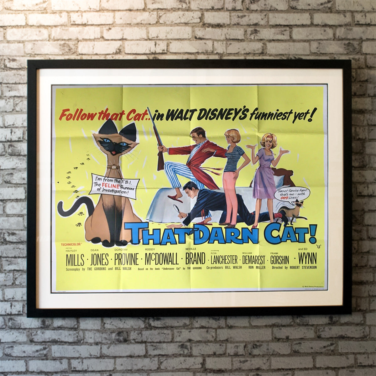 That Darn Cat! (1965) | Original Movie Poster | Vintage Film Poster ...